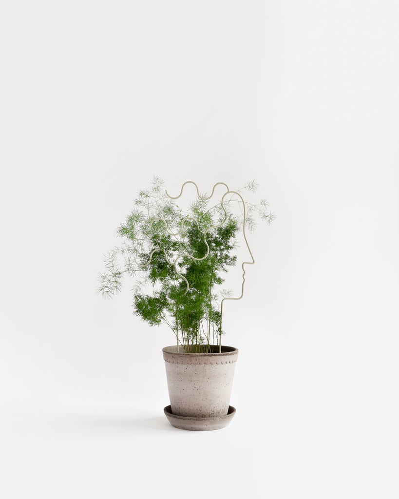 Plant Trellis / Human – Flùr
