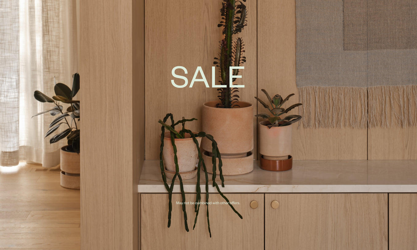 Flùr — Contemporary flowers, plants & decor for GTA delivery & pick up