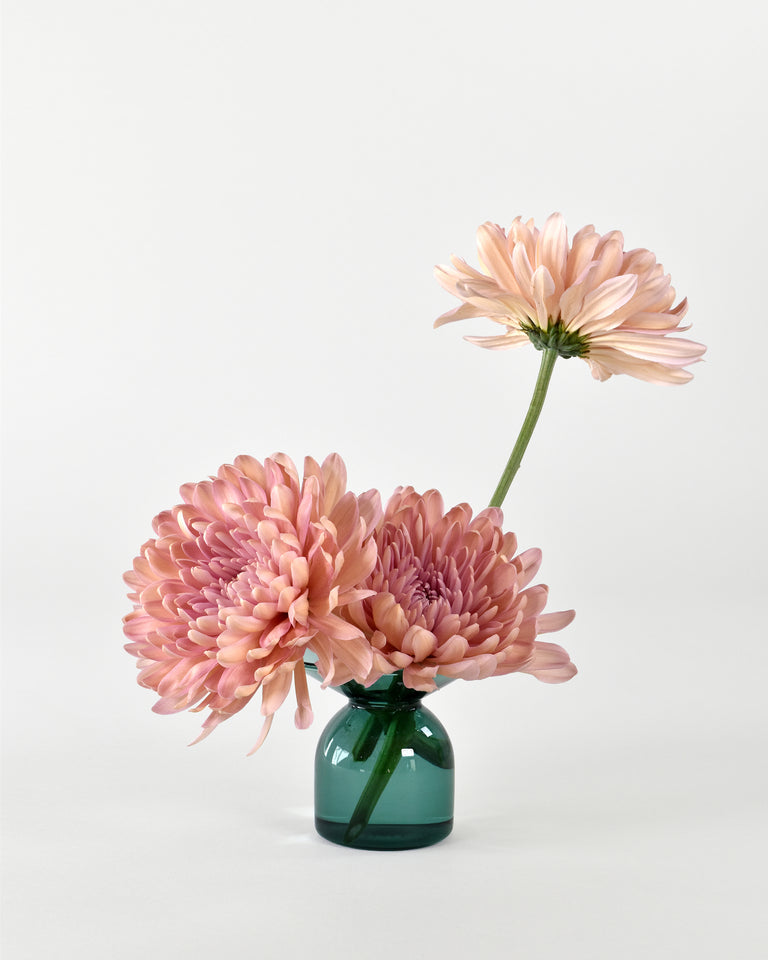 Fresh Flowers – Flùr