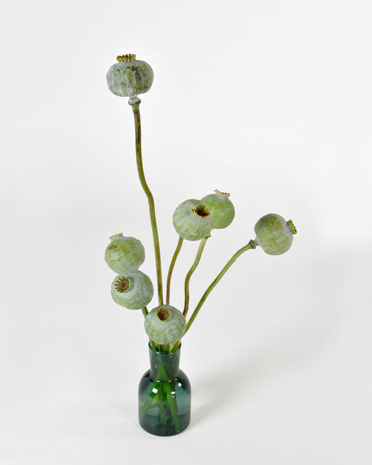 Fresh Flowers – Flùr