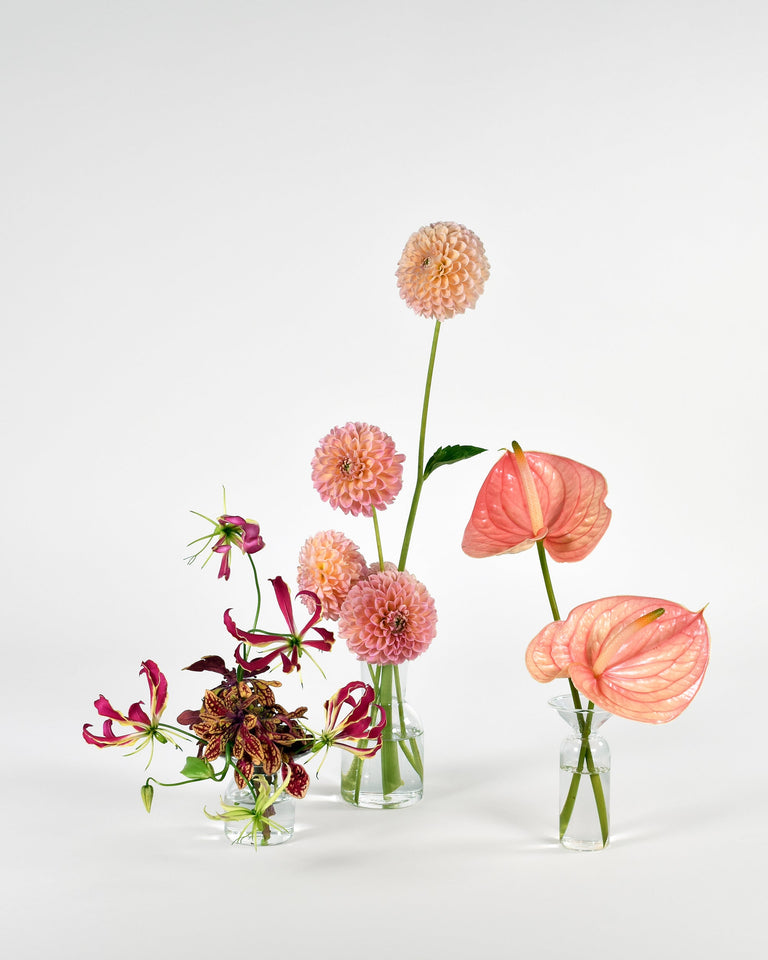 Fresh Flowers – Flùr