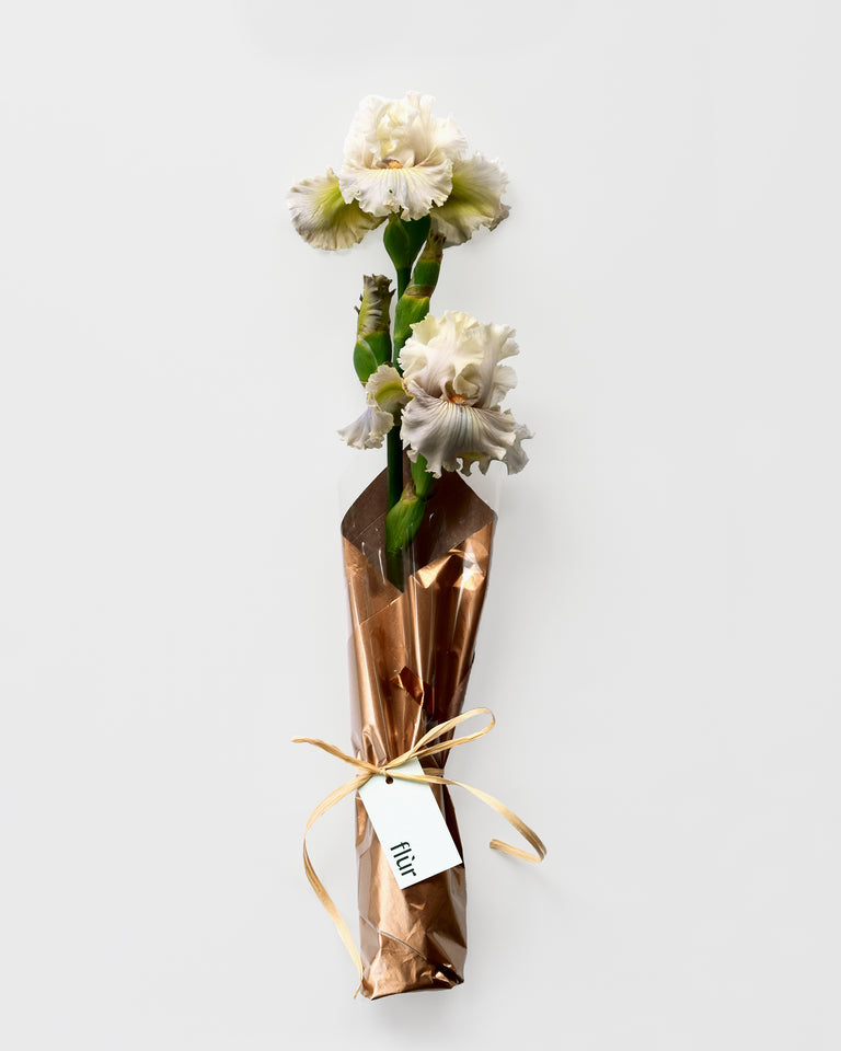 Fresh Flowers – Flùr